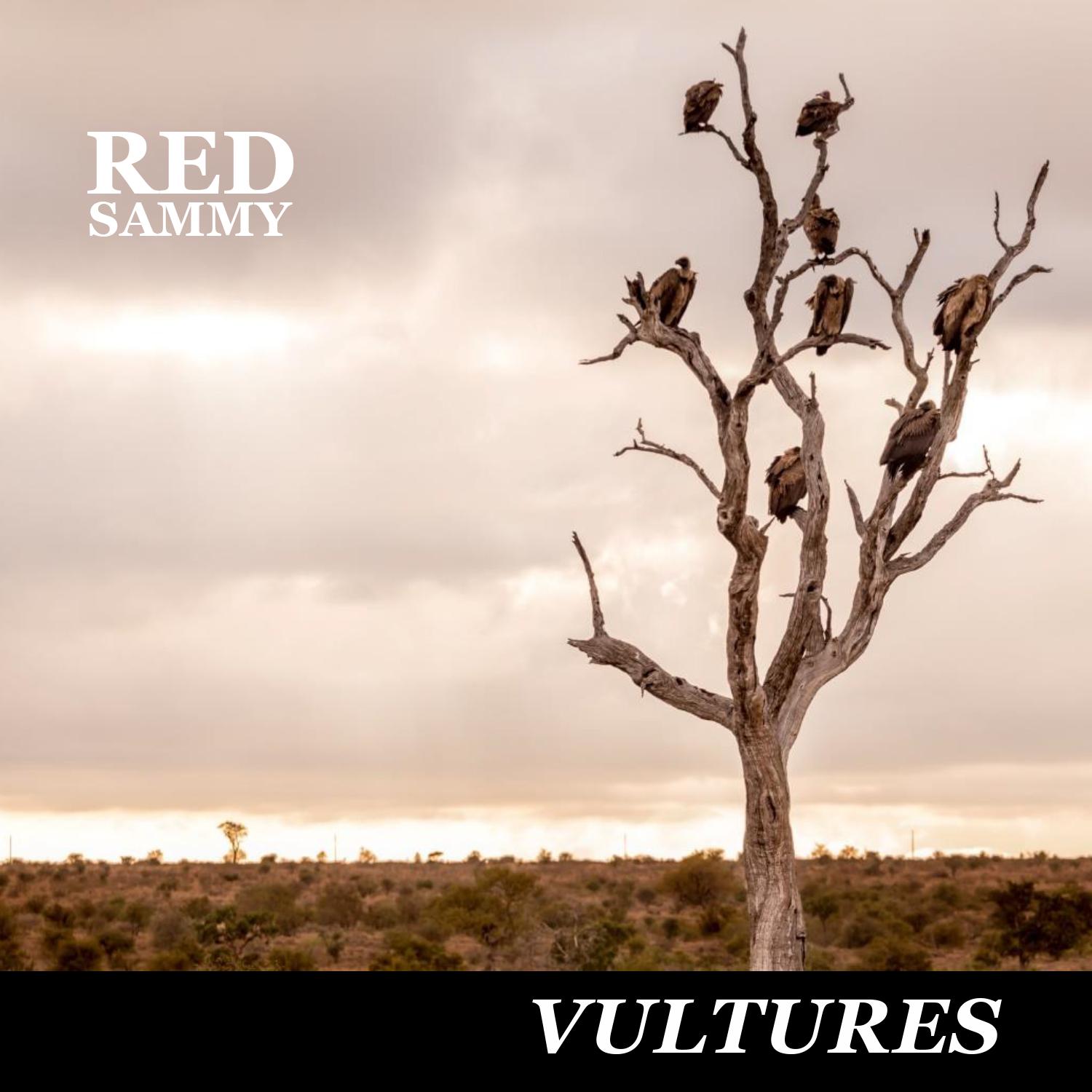 Red Sammy “Vultures” – Americana UK