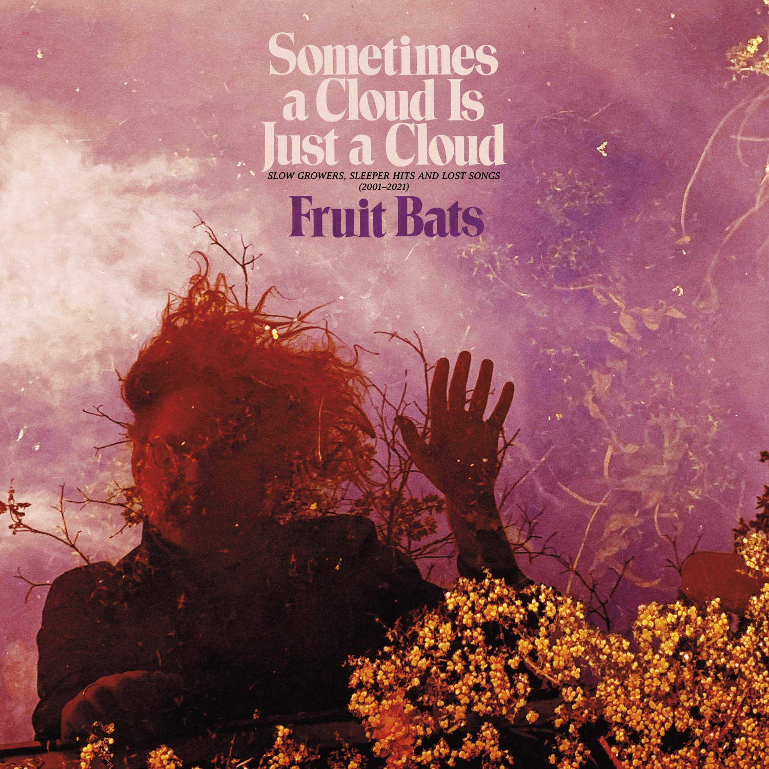 Fruit Bats “Sometimes A Cloud Is Just A Cloud: Slow Growers, Sleeper ...