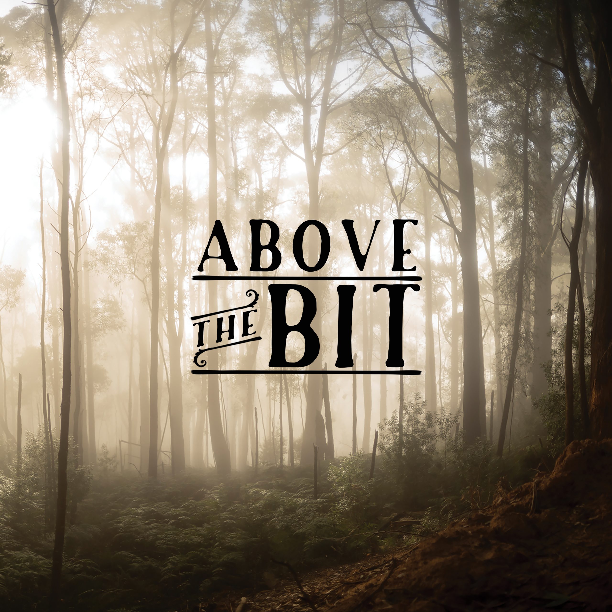 Above The Bit “Above The Bit” – Americana UK