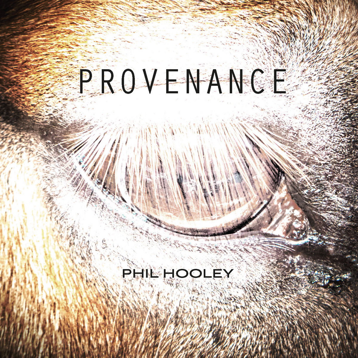 Phil Hooley “Provenance” – Americana UK