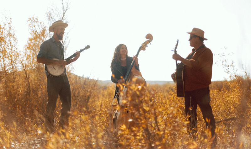 Interview: High on the hog with the Hoth Brothers Band – Americana UK