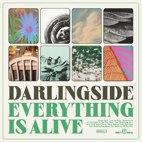 Interview : Darlingside’s Don Mitchell and David Senft on “Every Thing ...