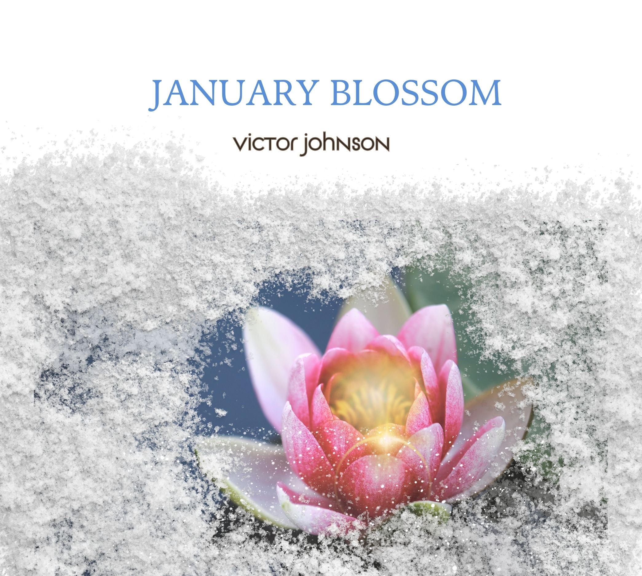 Victor Johnson “January Blossom” – Americana UK