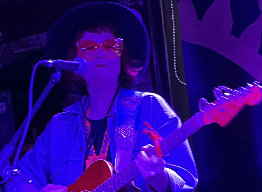 Live Review: Carter Sampson + Malcolm MacWatt, The Sun Inn, Beverley ...