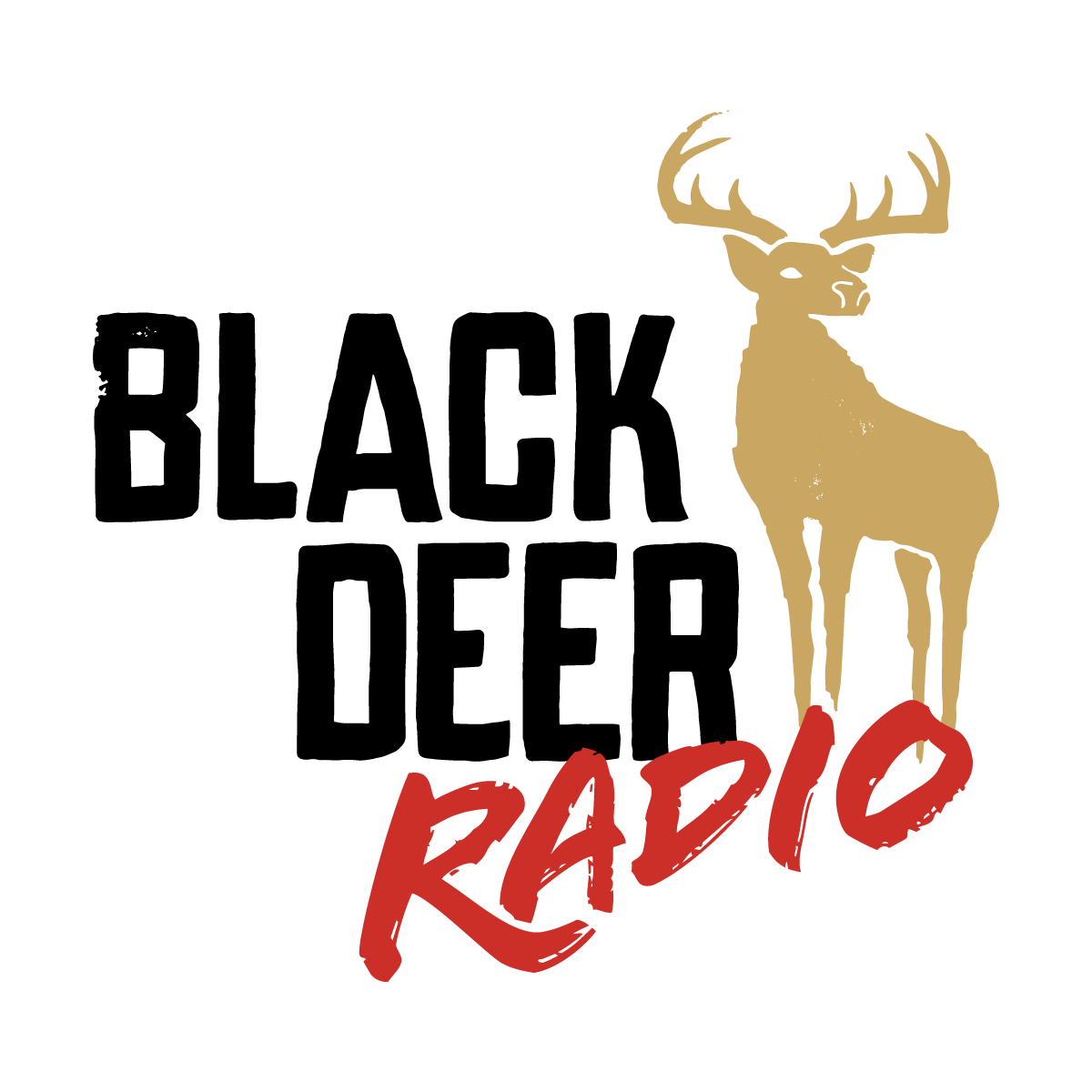 Turn on, tune in and enjoy – Black Deer launch their “Americana Radio ...