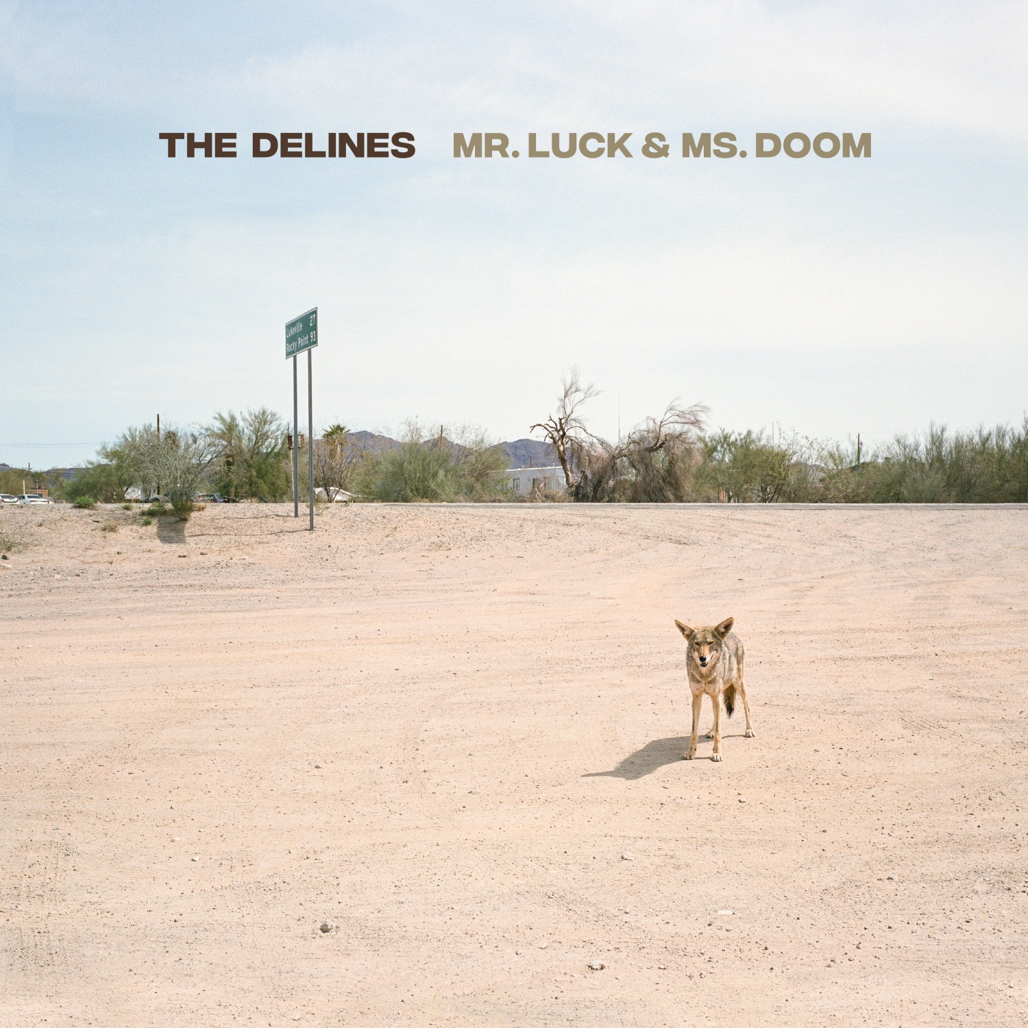 Americana UK’s album of 2025 is The Delines “Mr. Luck & Ms. Doom ...