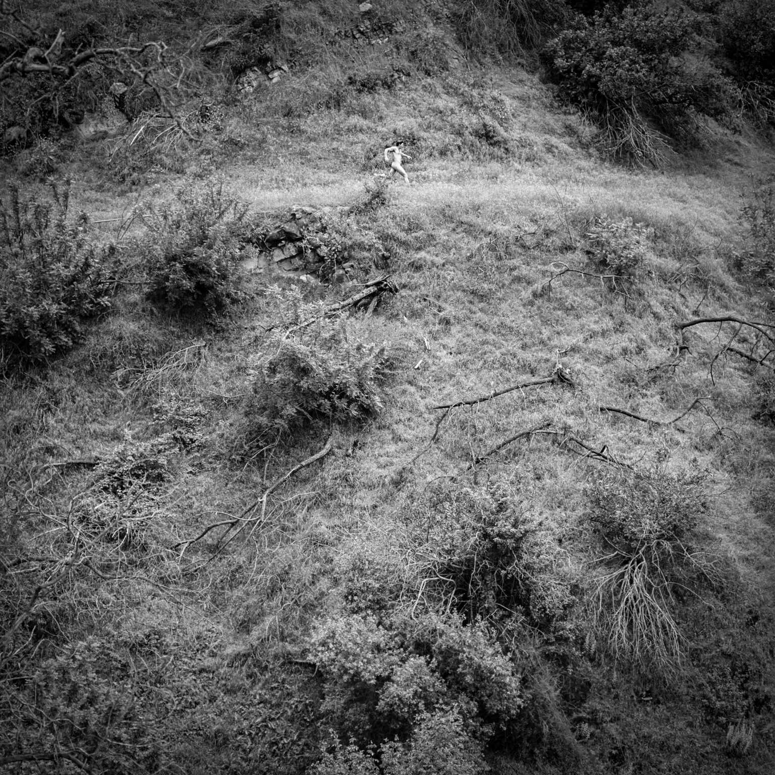 Oregon’s Anna Tivel releases new record “Animal Poem” late summer 2025 ...