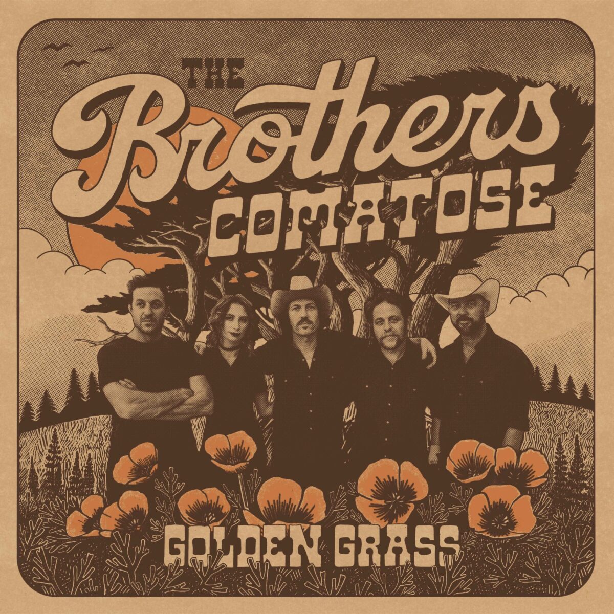 The Brothers Comatose “Golden Grass” – Americana UK