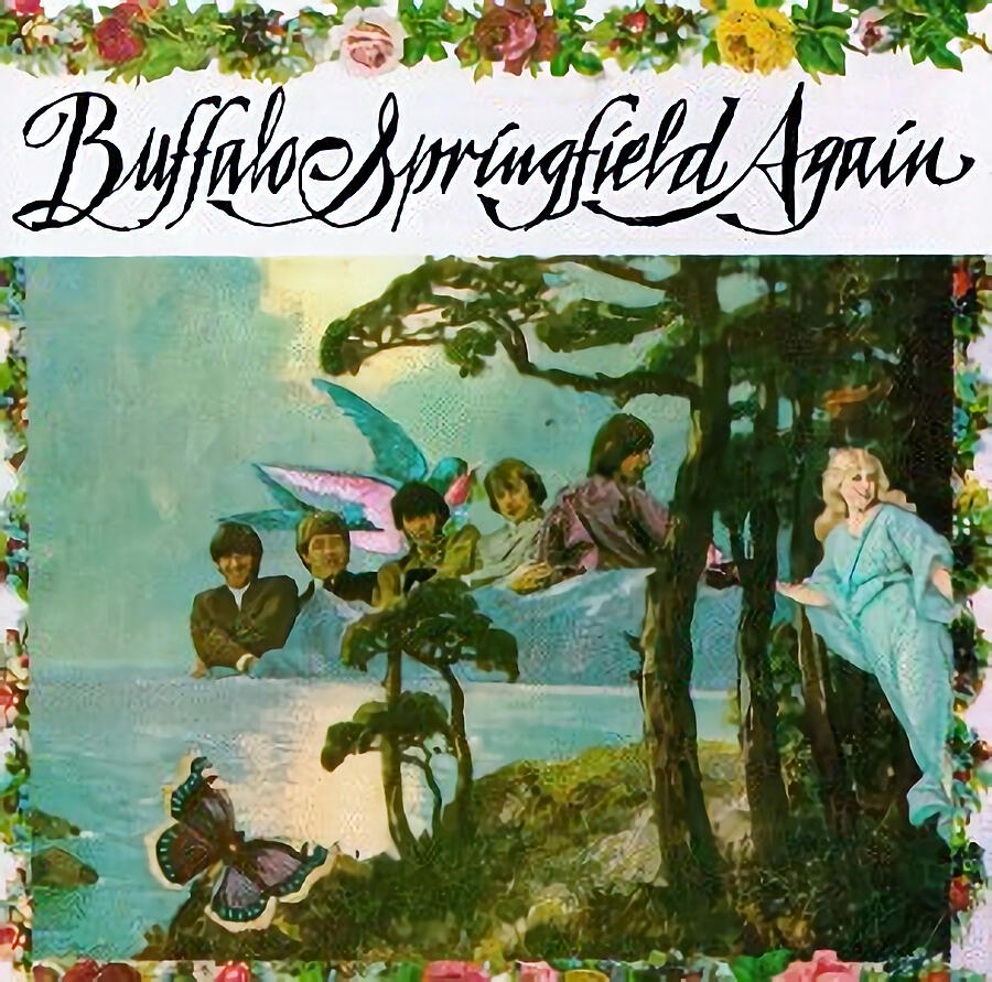 Can’t Live With It, Can’t Live Without It: Buffalo Springfield ...